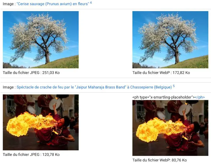 Formats WebP et WebM : définition et avantages pour le web